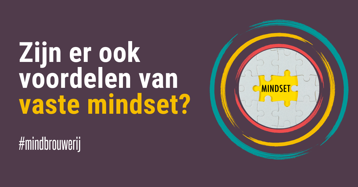 Vaste Mindset - Wat zijn de voordelen?